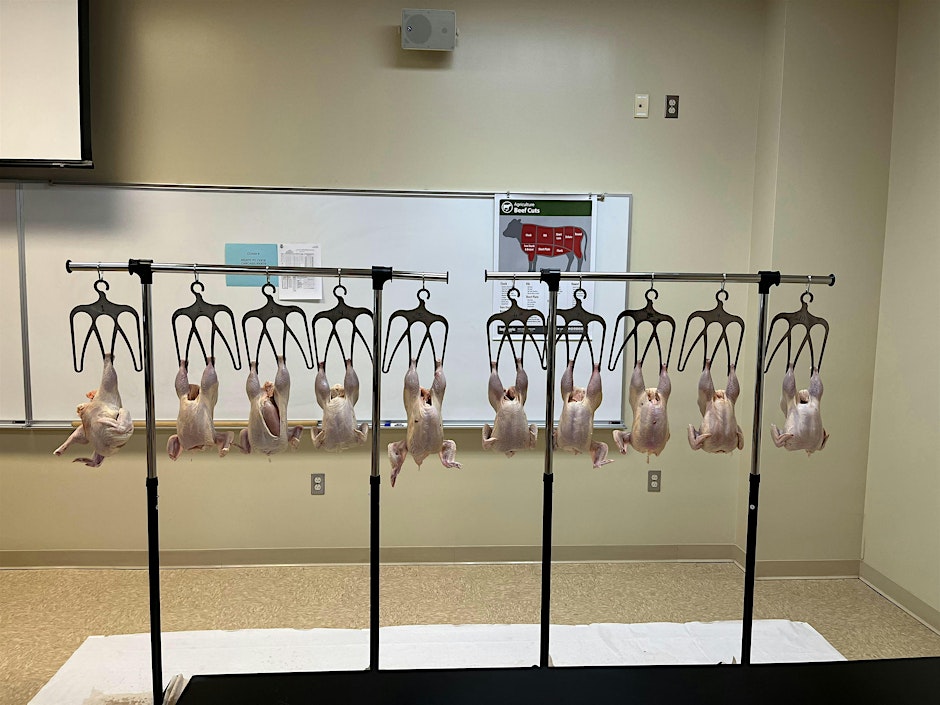 Small Flock Poultry Processing Class | N.C. Cooperative Extension